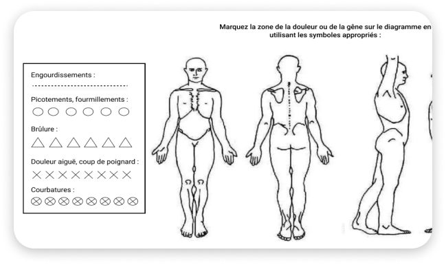 Decoding The Physique: A Complete Information To Physique Chart Diagrams - Chart Patterns Cheat ...